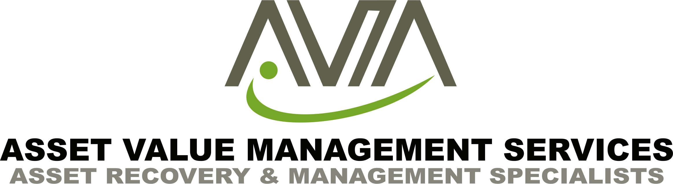 ASSET VALUE MANAGEMENT SERVICES